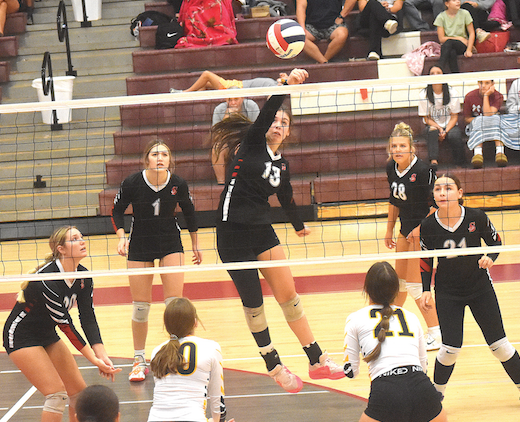 Etowah County champs | High Schools | sandmountainreporter.com