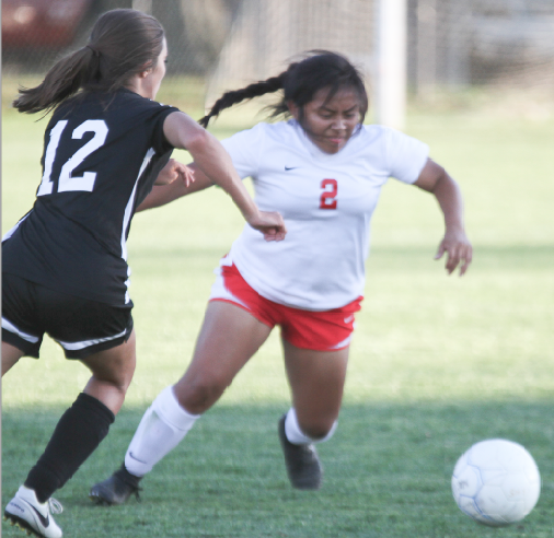 Four Aggies chosen all-state | | sandmountainreporter.com