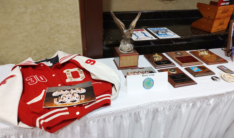 MCSHOF inducts former Douglas star Misty Lang | High Schools ...