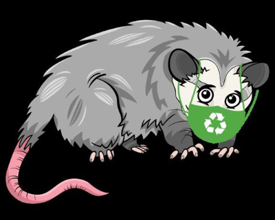 Sand Mountain Sam predicts early spring | Opossum finds new home at ...