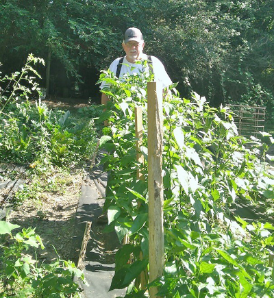 Local man's pepper plants reach new heights | Free Share ...