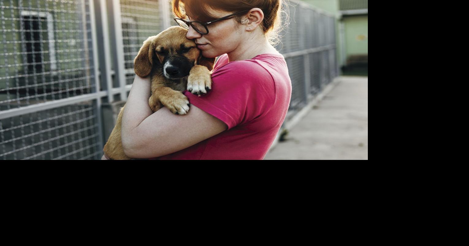 Animal shelter overflows as it finds space, homes for more dogs | Free ...