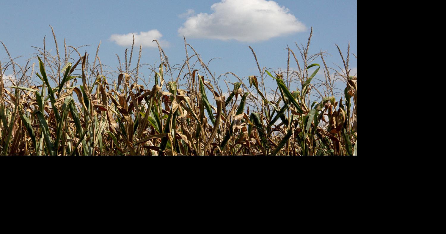 Federal relief helps farmers | Editorials | sandmountainreporter.com