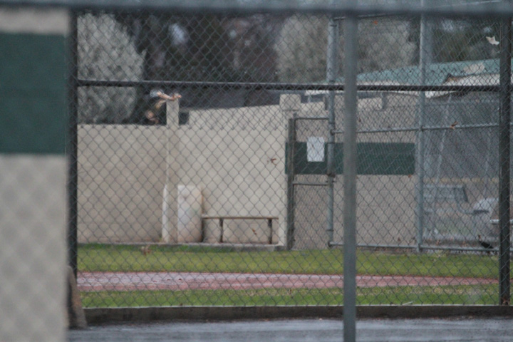 Albertville Recreation Center hit hard by storms | Local News ...