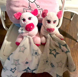 Missing Piggy in Guntersville | News | sandmountainreporter.com