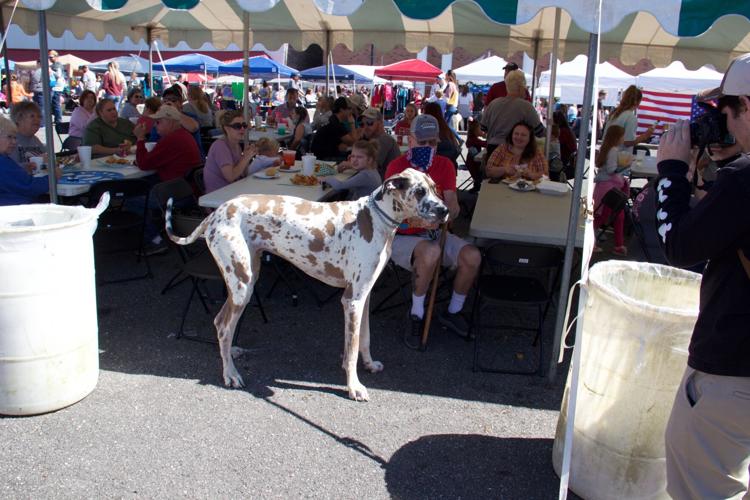 PHOTOS: 2020 Boaz Harvest Festival | | sandmountainreporter.com