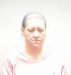 Woman pleads guilty | Free Share | sandmountainreporter.com