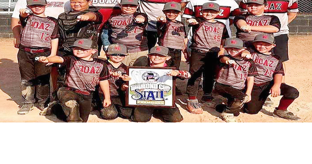 Boaz 8U All-Stars win USSSA 1A State title | High Schools ...
