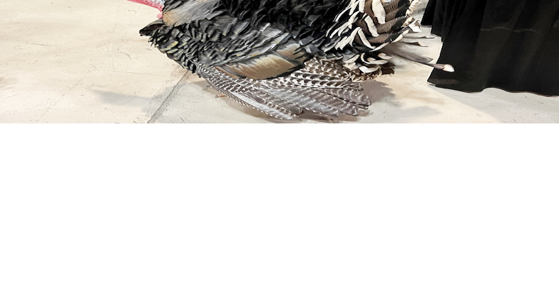 David Rainer, Outdoors columnist: Enthusiasm for outdoors high at ...