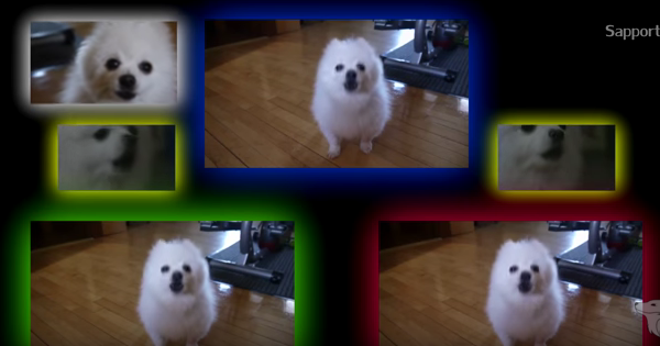 James Jimenez: Bork in peace, sweet prince | | sandmountainreporter.com