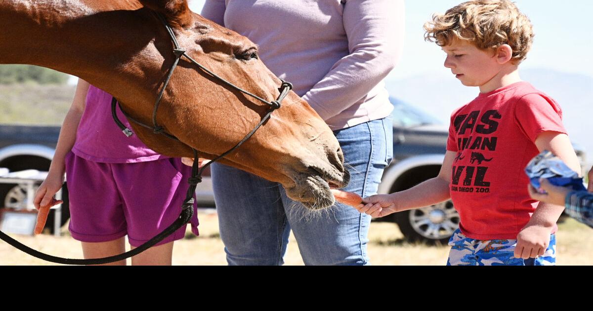 Los Flores Ranch Park celebrates National Day of the Cowboy in Santa ...
