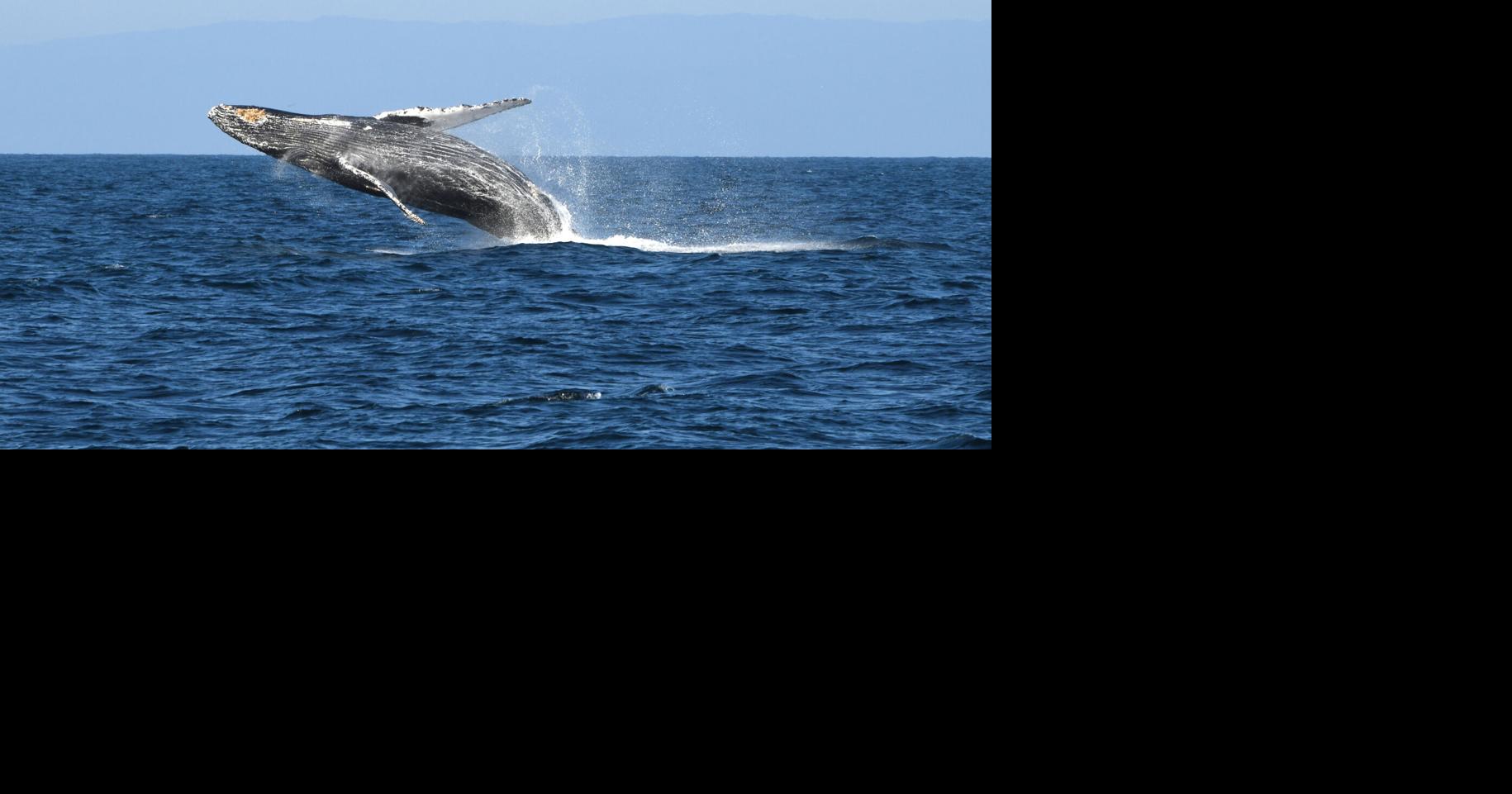 Designation of Chumash Heritage National Marine Sanctuary finalized ...