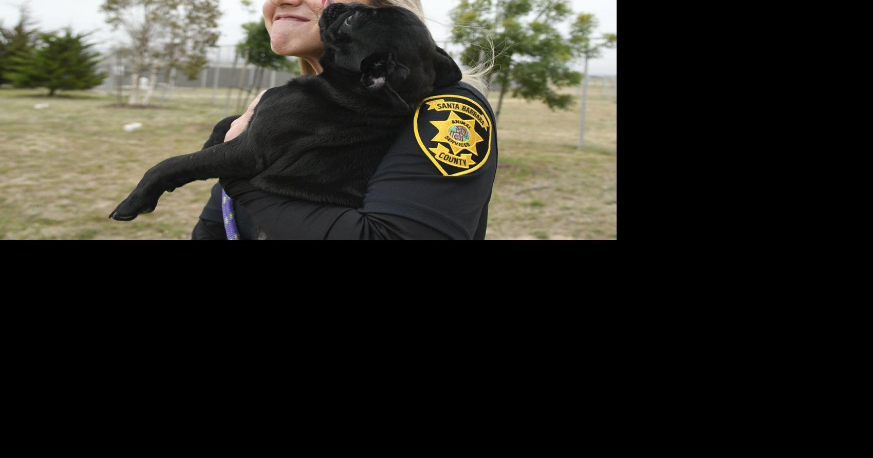 On the road with Santa Barbara County Animal Services: Officer deals ...