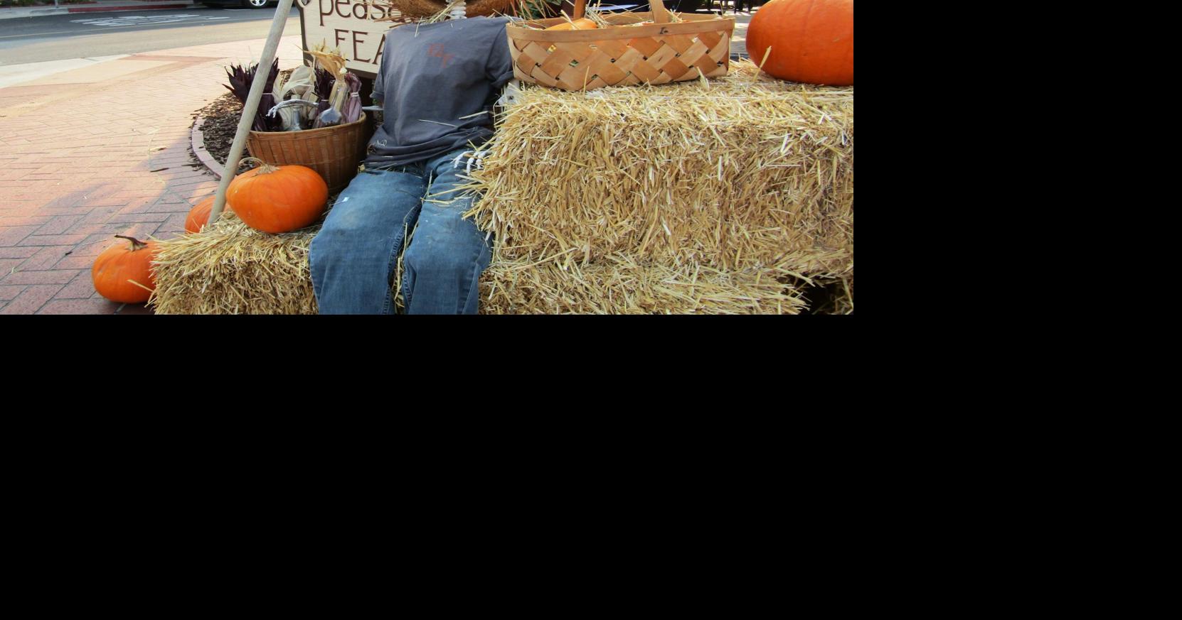 Santa Ynez Valley Scarecrow Fest kicks off Oct. 1 | | santamariatimes.com