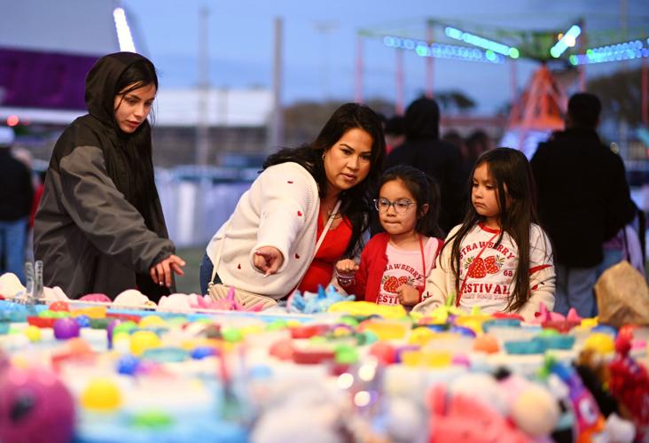Santa Maria Strawberry Festival opens Friday with free admission, focus ...