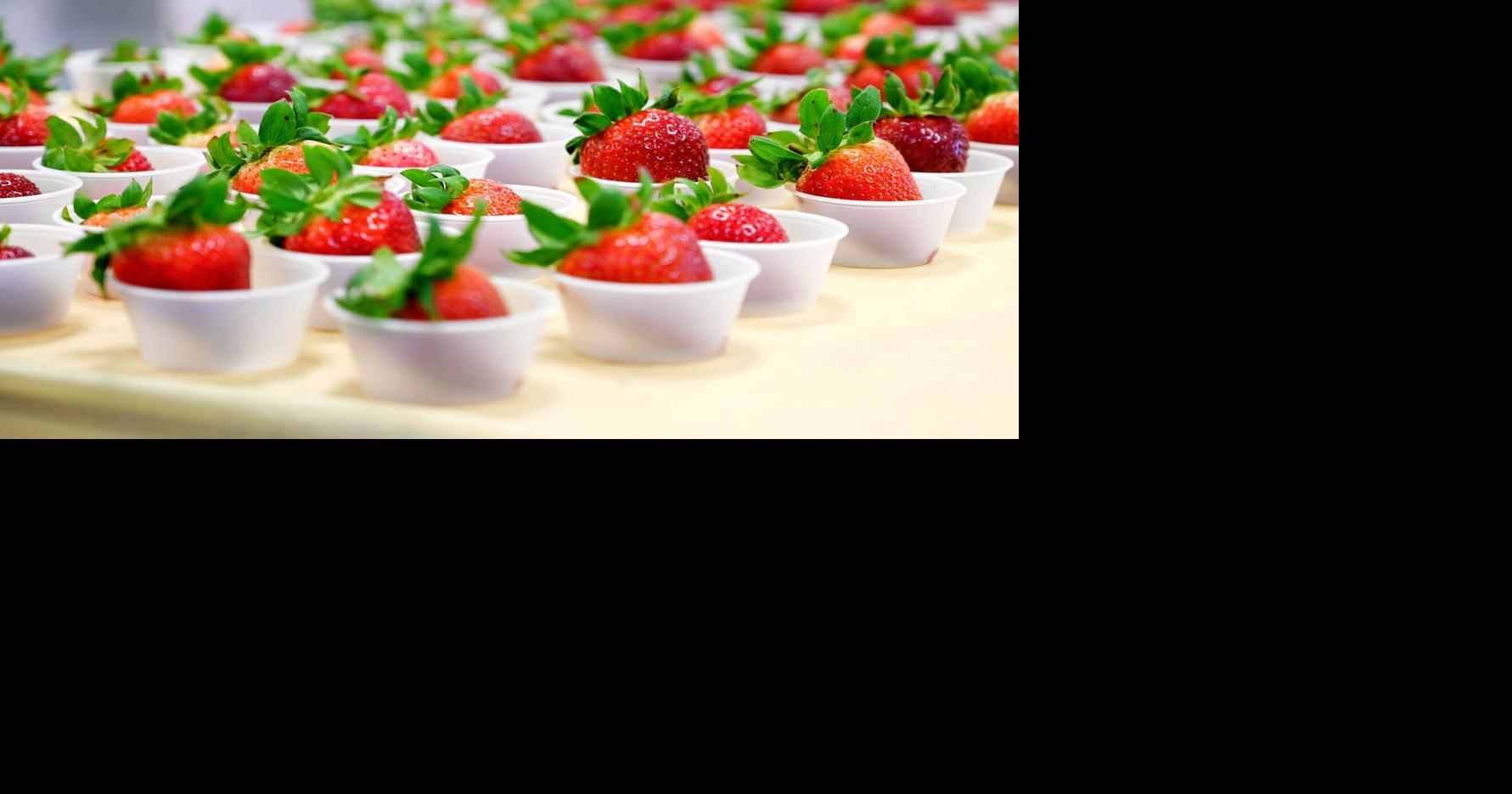 Santa Barbara County ag passes $2B in value, with strawberries leading ...