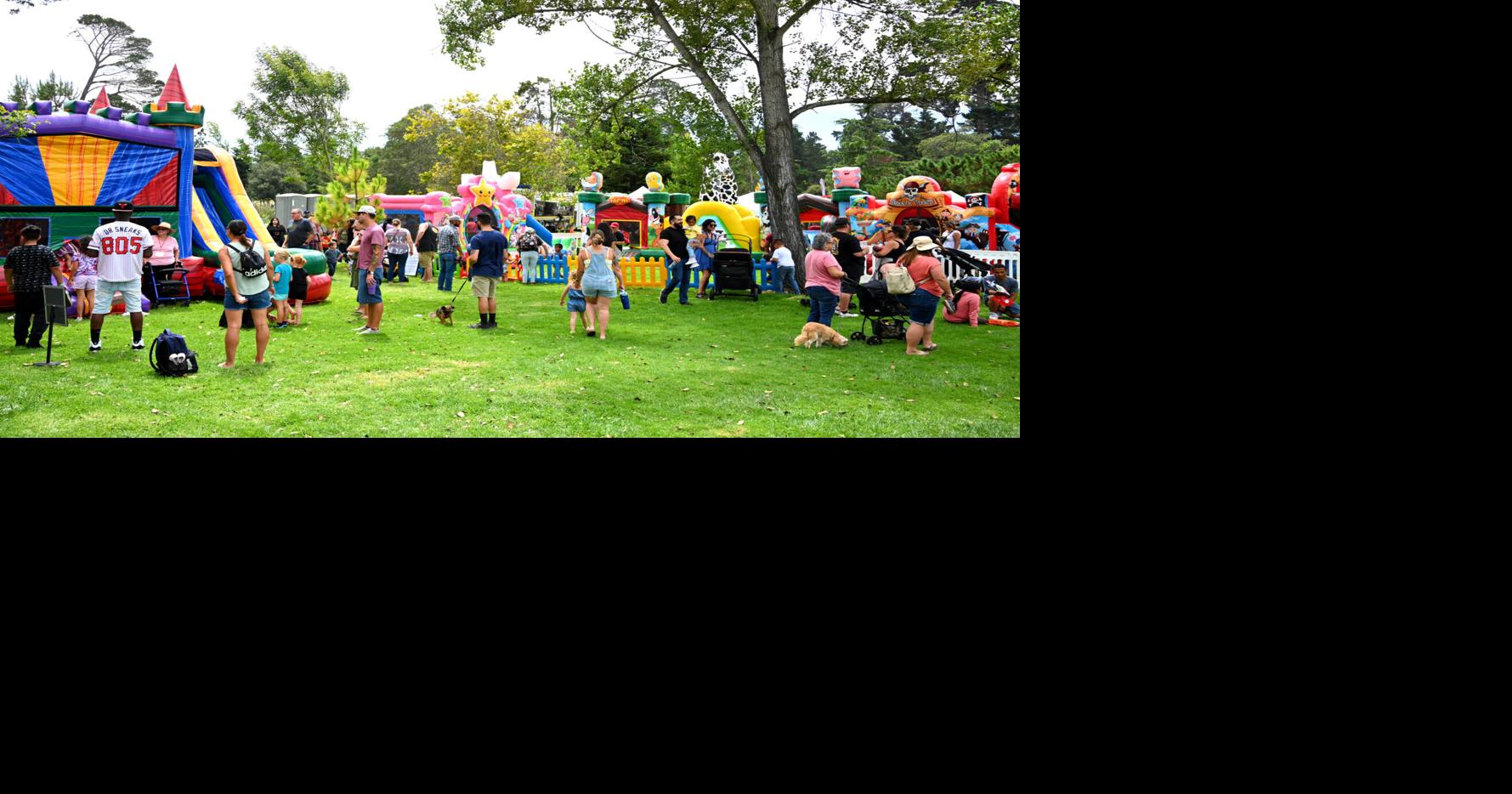 Thousands attend Day in the Park event Sunday afternoon at Waller Park ...