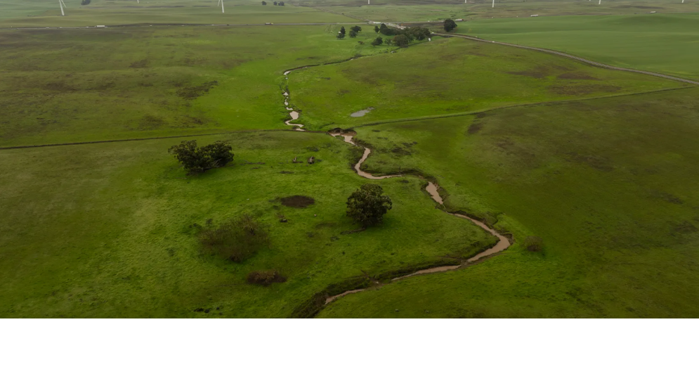 Tech-billionaire Promises For A New City, From Roads To Water, Are ...