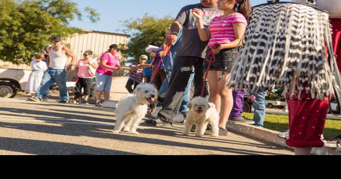 Pet clinics coming to Ryon Park | Local | santamariatimes.com