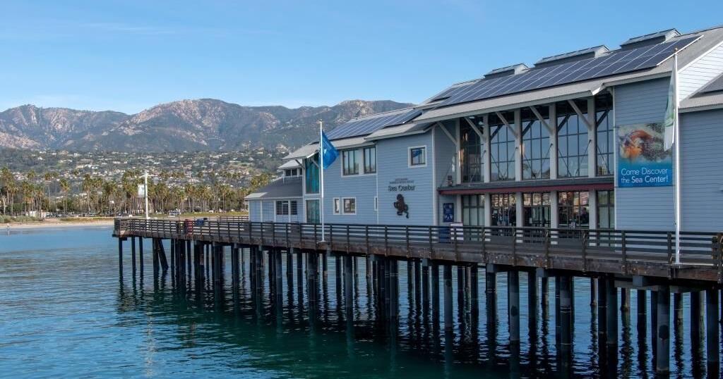 Julia McHugh: 'Dive in' at renovated Santa Barbara Sea Center ...