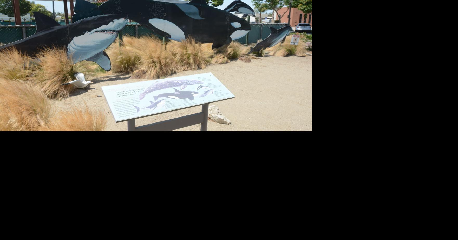 Exhibit enhancements coming to Santa Maria Natural History Museum via ...
