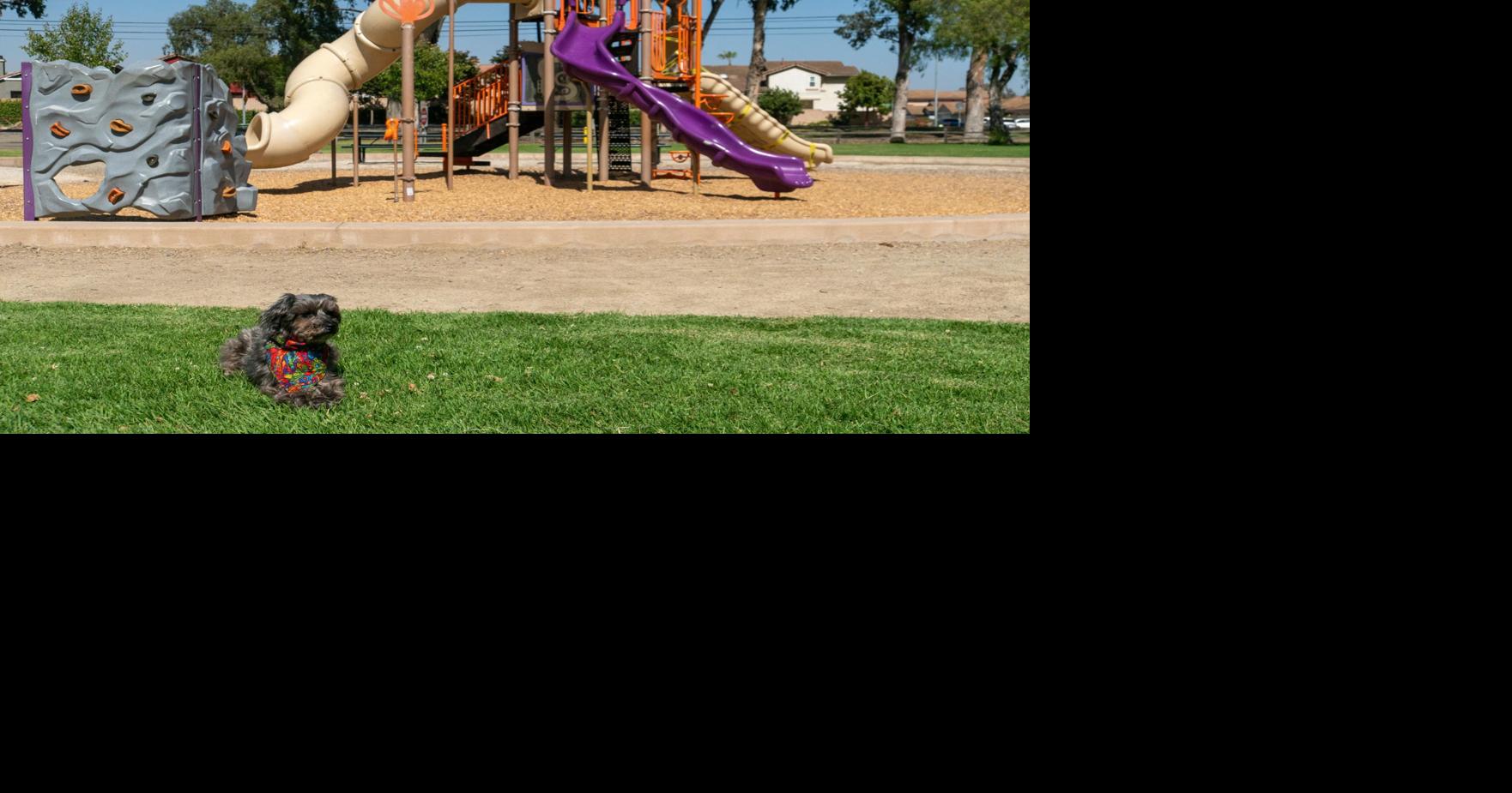 Where's Sparkie? At Preisker Park in northwest Santa Maria | Columnist ...