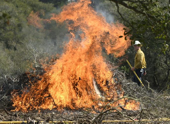 Burton Mesa chaparral presents unique challenges for preventing ...