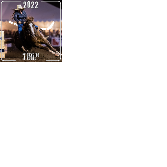 7 Days to Rodeo: Recognizing the amazing women in rodeo! | Local News ...