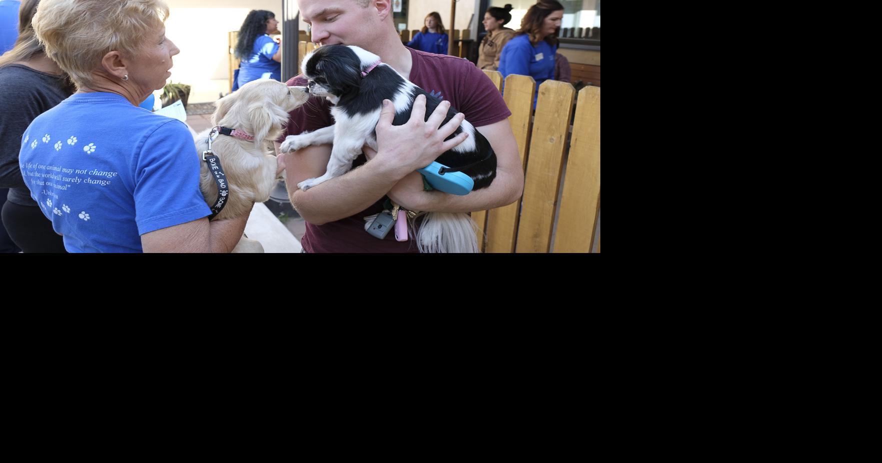 Animal Services growing, changing in northern Santa Barbara County ...