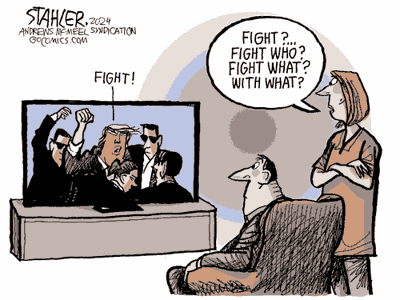 Editorial Cartoon: Fight? | Opinion | santamariatimes.com