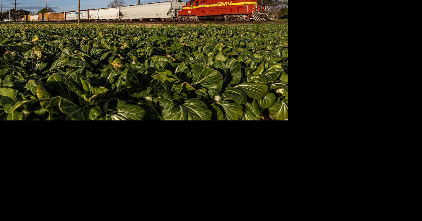 OmniTRAX partners with local owner Coast Belle Rail to manage 114-year ...