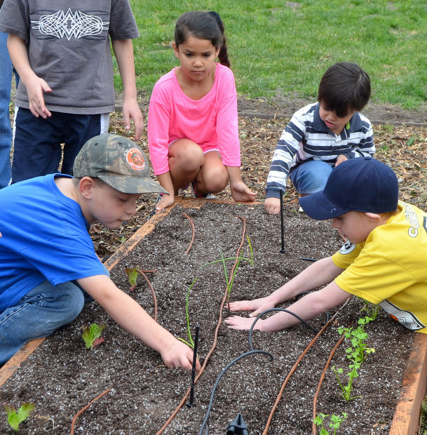 GALLERY: Miguelito Elementary School garden installed | Education ...