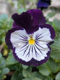 Llegan 4 astronautas a la Estación Espacial Internacional en reemplazo ...