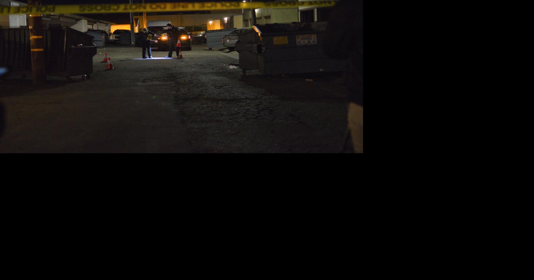 18-year-old man shot multiple times on West Newlove Drive in Santa ...