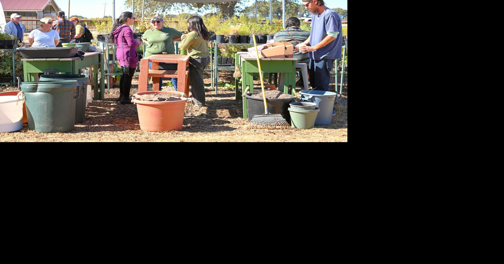 Locals learn about native plant uses at Chumash Fall Open House event ...