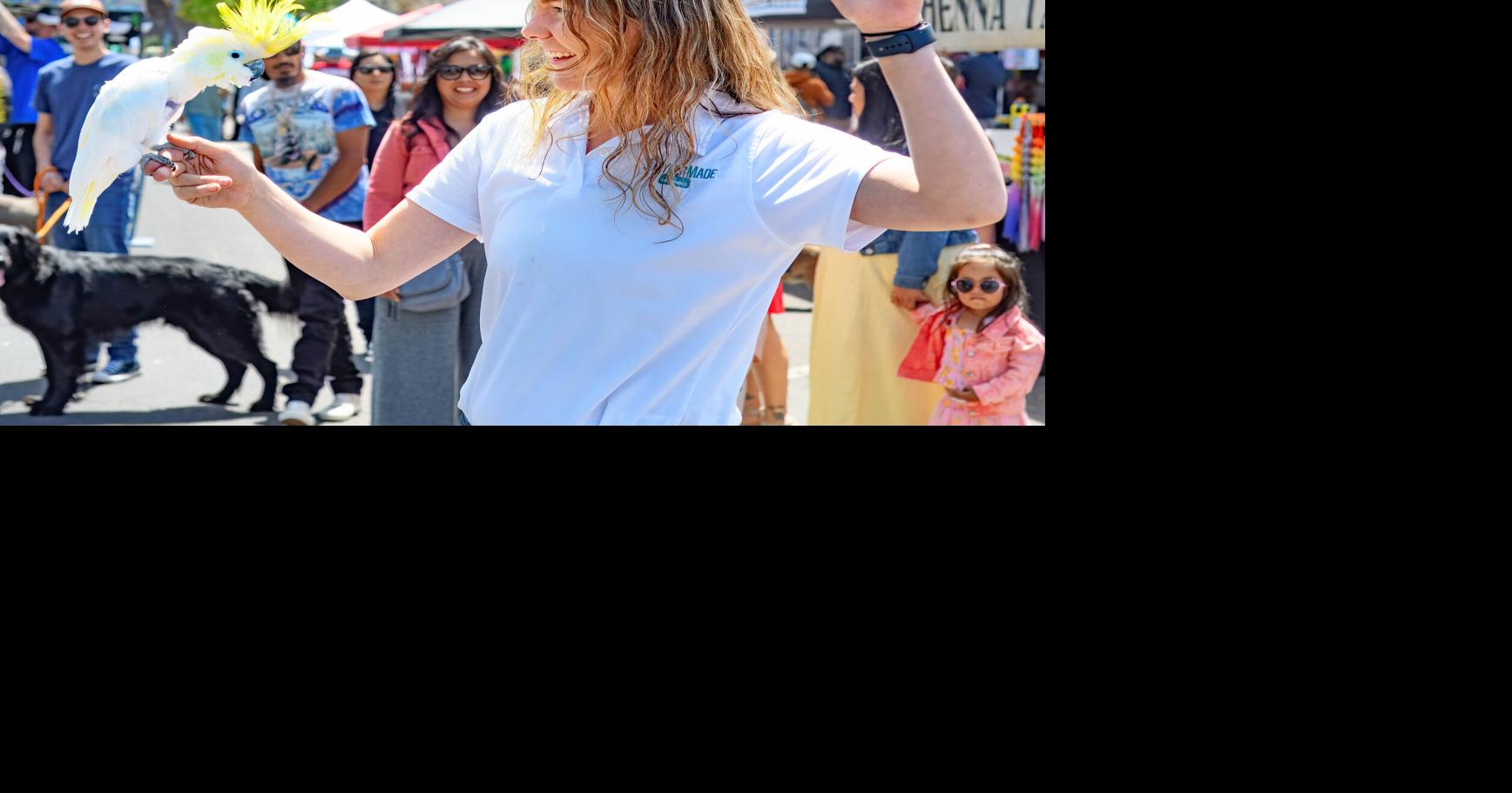 Elevate Lompoc hosts annual block party on 420 | Photos | Local News ...