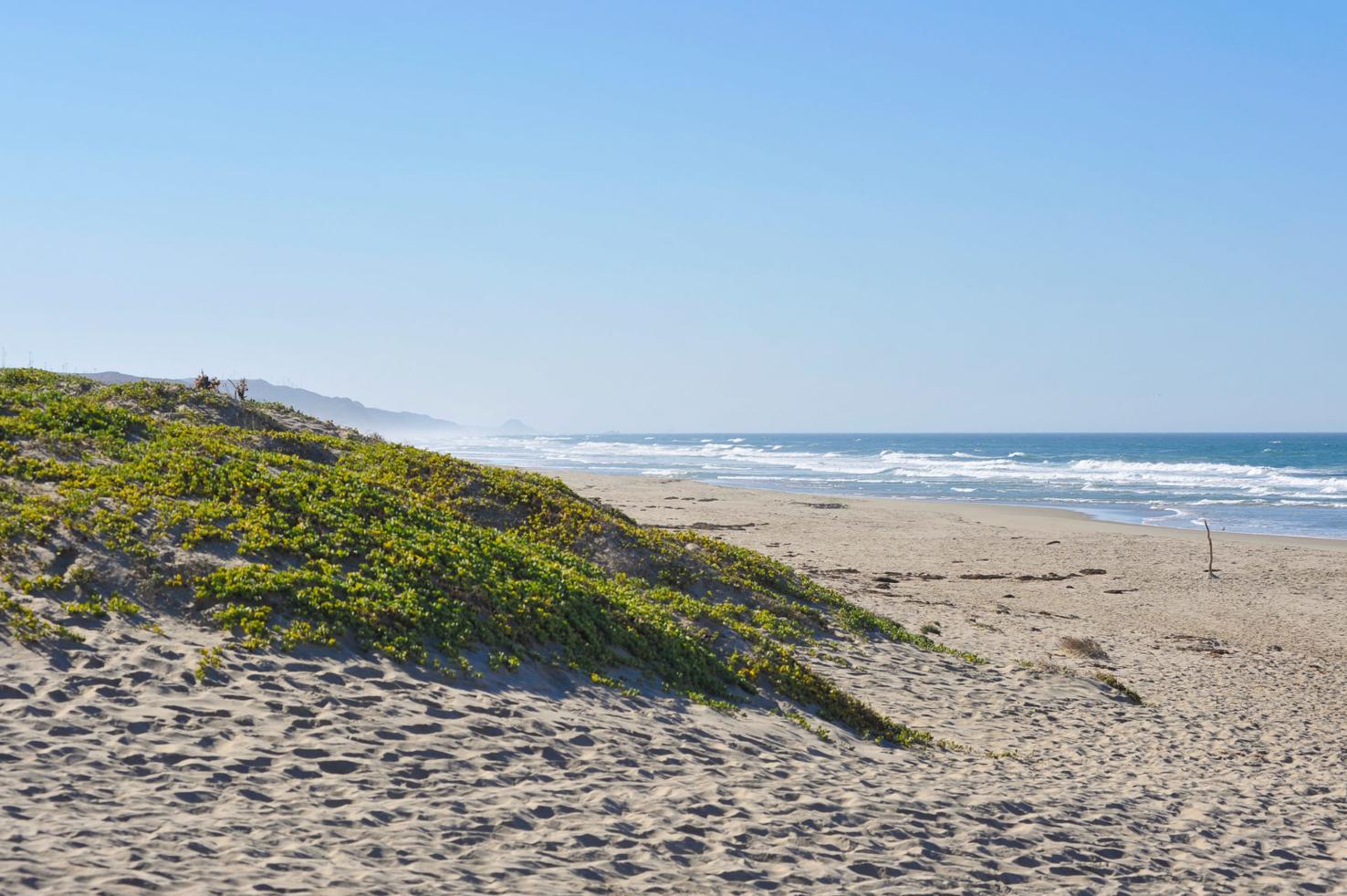 Lompoc's Surf Beach fully reopen to public following plover ...