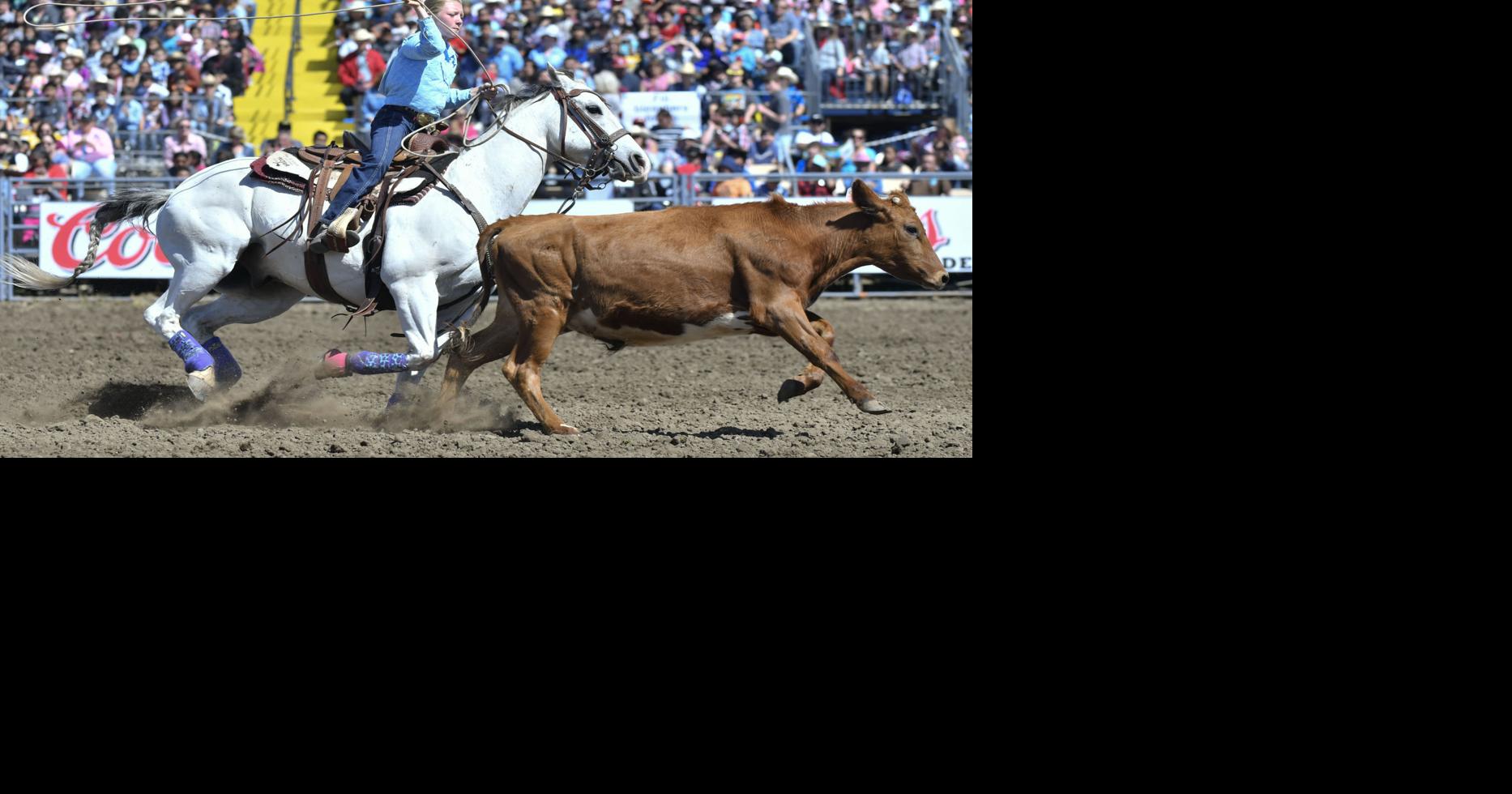 Central Coast students enjoy Mini Rodeo, learn about Western heritage ...