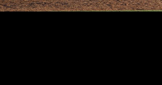 Bakersfield at Allan Hancock College Baseball | Hancock College ...