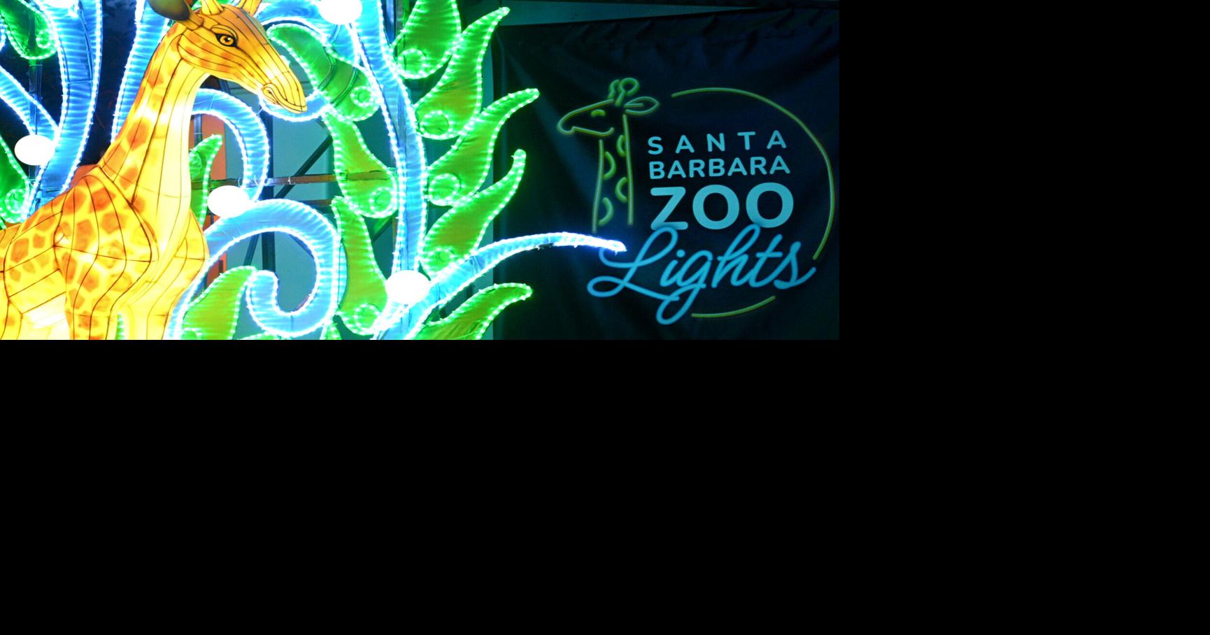 ZooLights immersive holiday display returns to Santa Barbara Zoo on ...