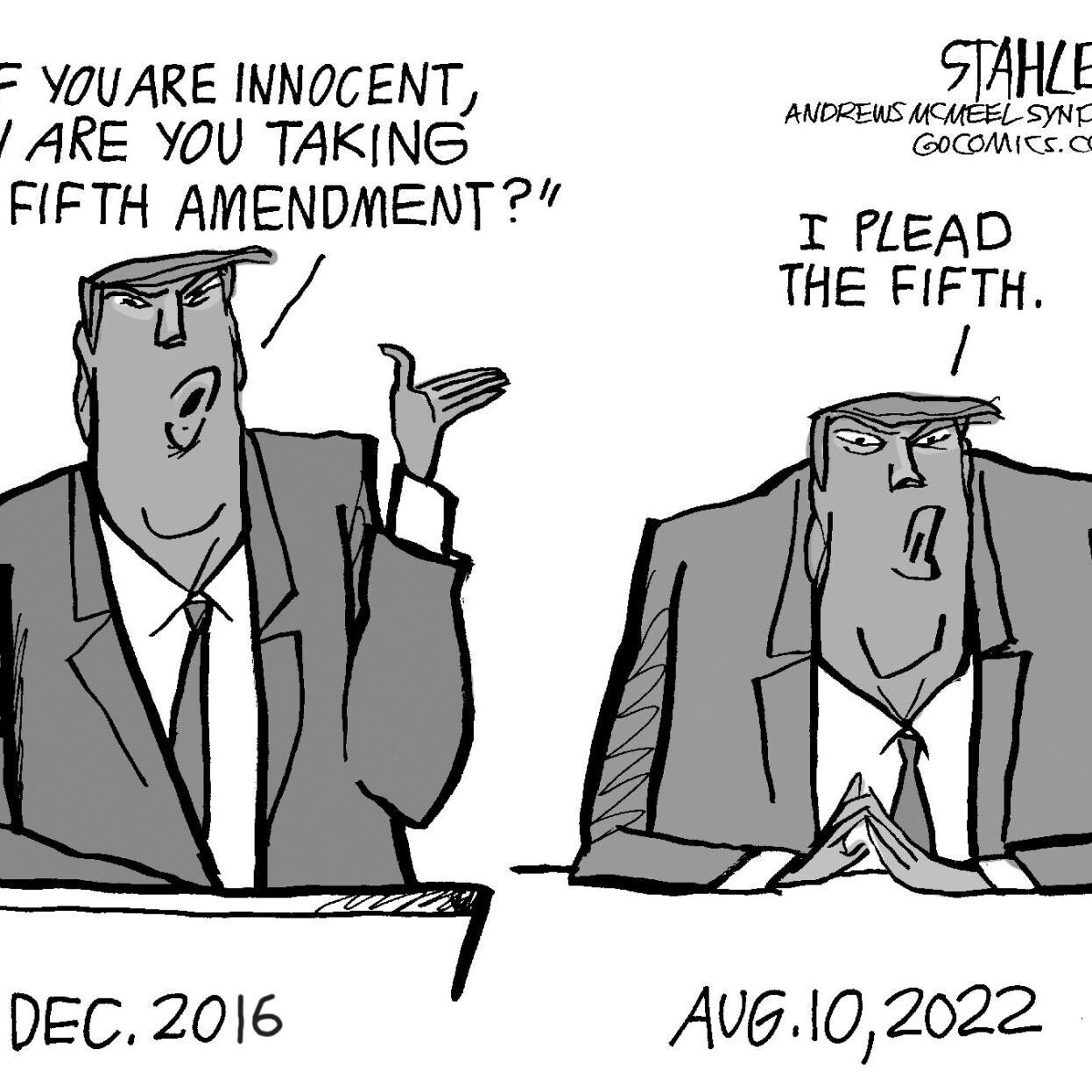 fifth amendment comic