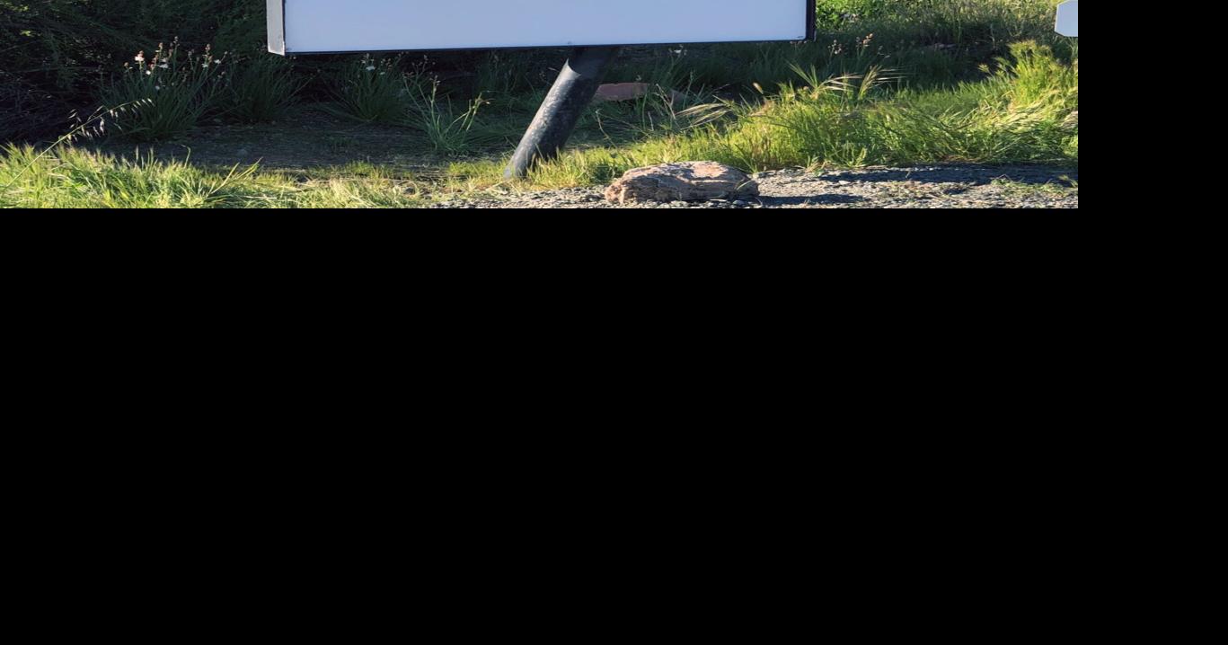 Stadium805: New look, new name for the Santa Maria Raceway | News ...