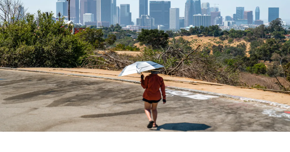 California climate programs would lose billions in Newsom’s budget ...