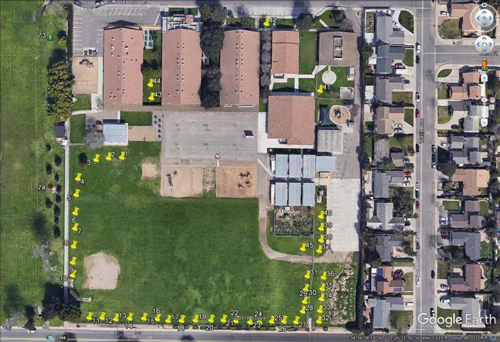 New trees coming to Adam Elementary in March; volunteers needed to help ...