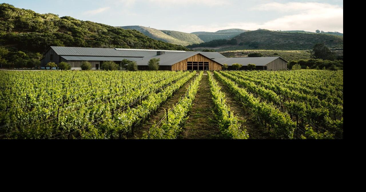 Santa Ynez Valley's Jonata wines celebrates 20th anniversary with ...