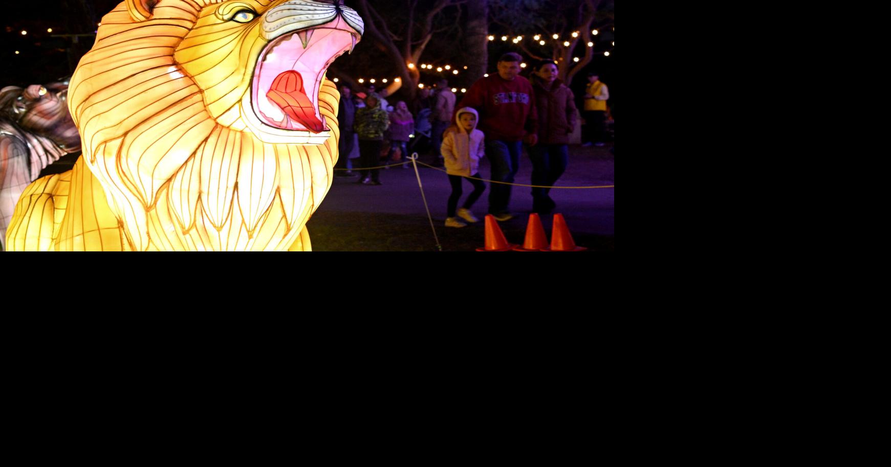Photos: Santa Barbara Zoo's ZooLights festival brings colorful animal ...