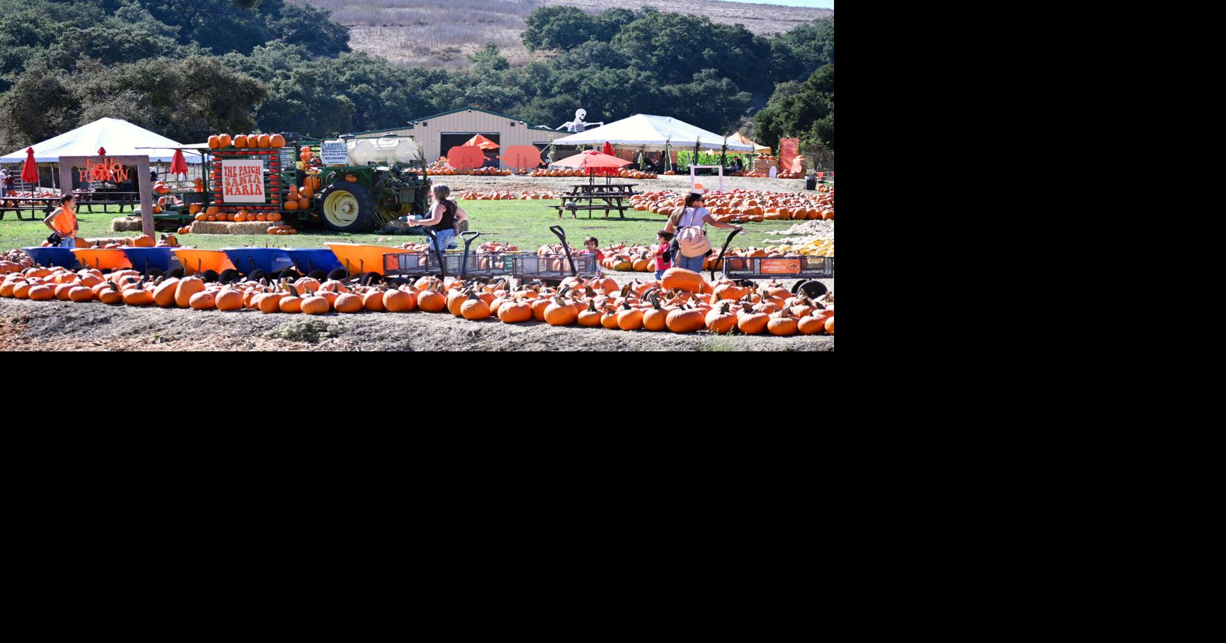 The Patch holds opening weekend at Los Flores Ranch Park in Santa Maria ...