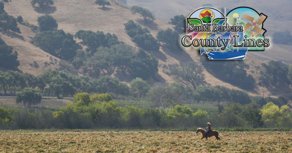 County Lines: Todd Tuggle appointed as fire chief following Champion ...