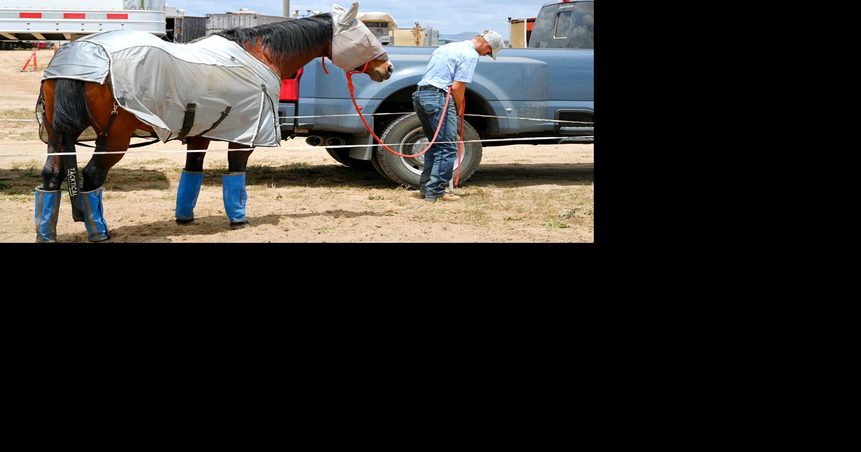 Xtreme Bulls kicks off 5-day run of Santa Marka Elks Rodeo Wednesday ...