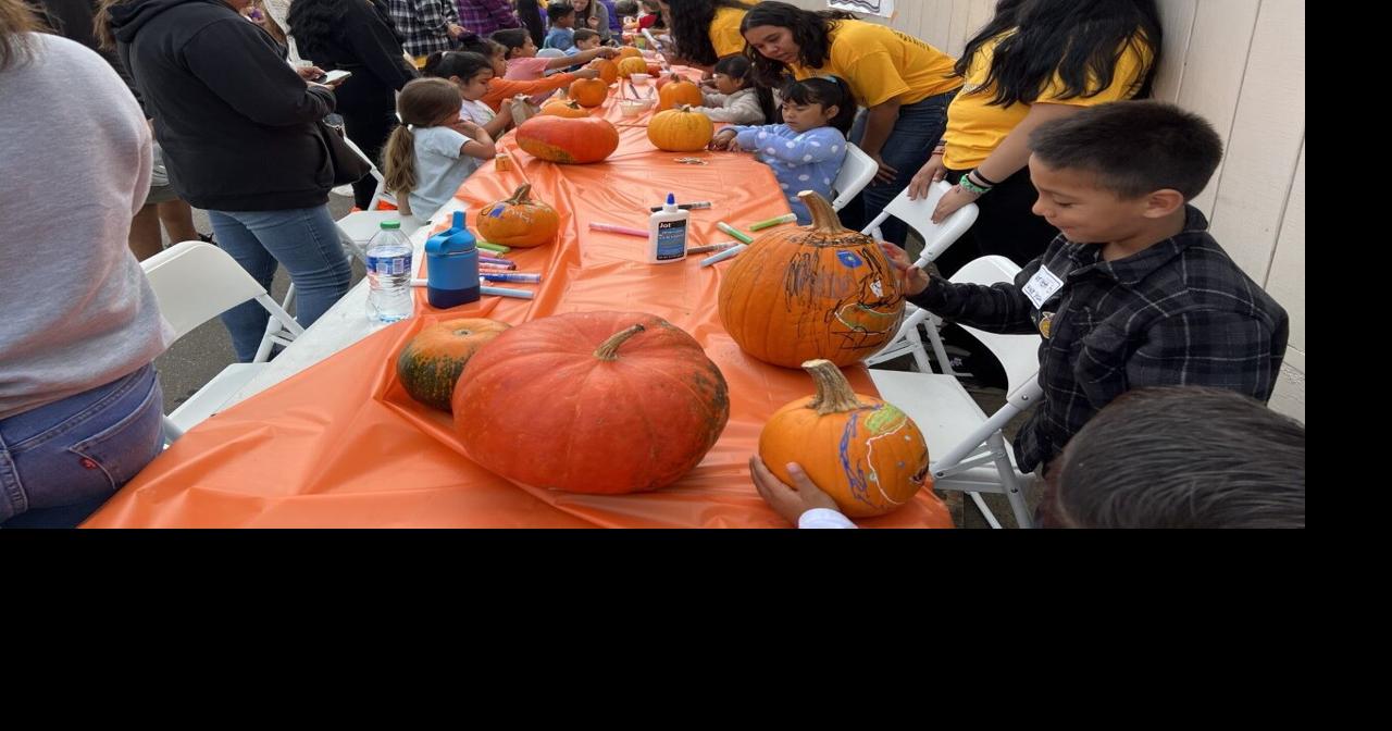 More than 700 students flock to Righetti High's 'Kinderpatch' | Local ...